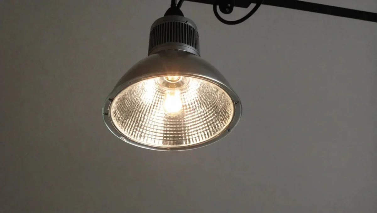 Halogen Heat Light: A Comprehensive Guide – Talis Us