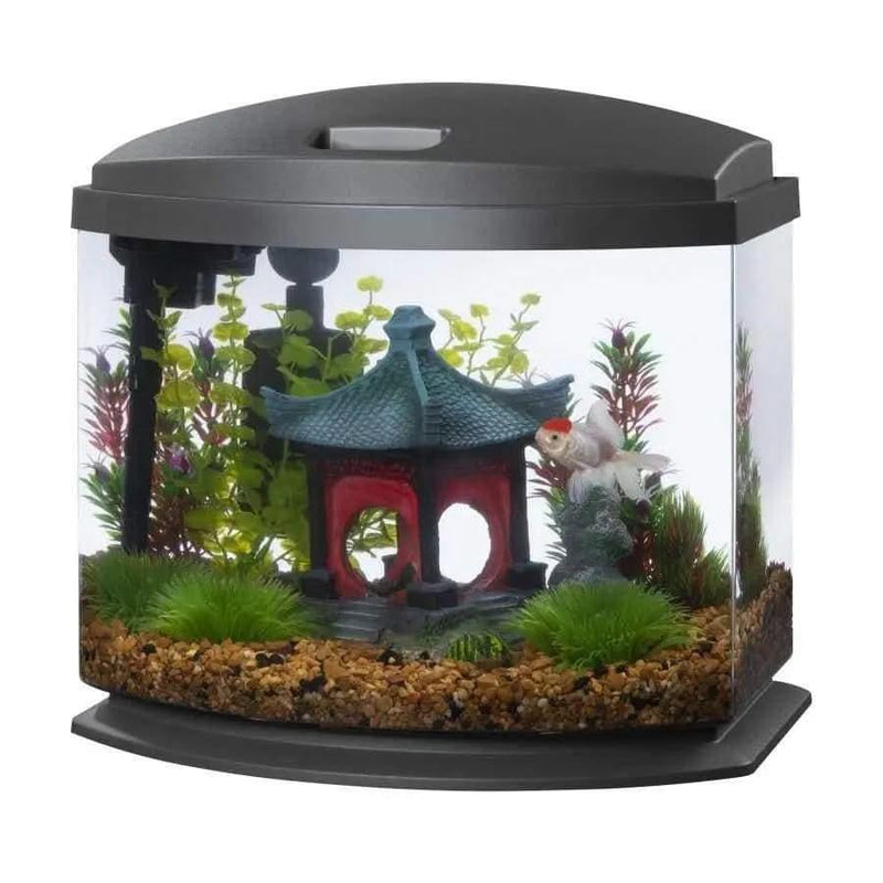 Buy Aquariums | Aquarium Accessories for Fish – Talis Us