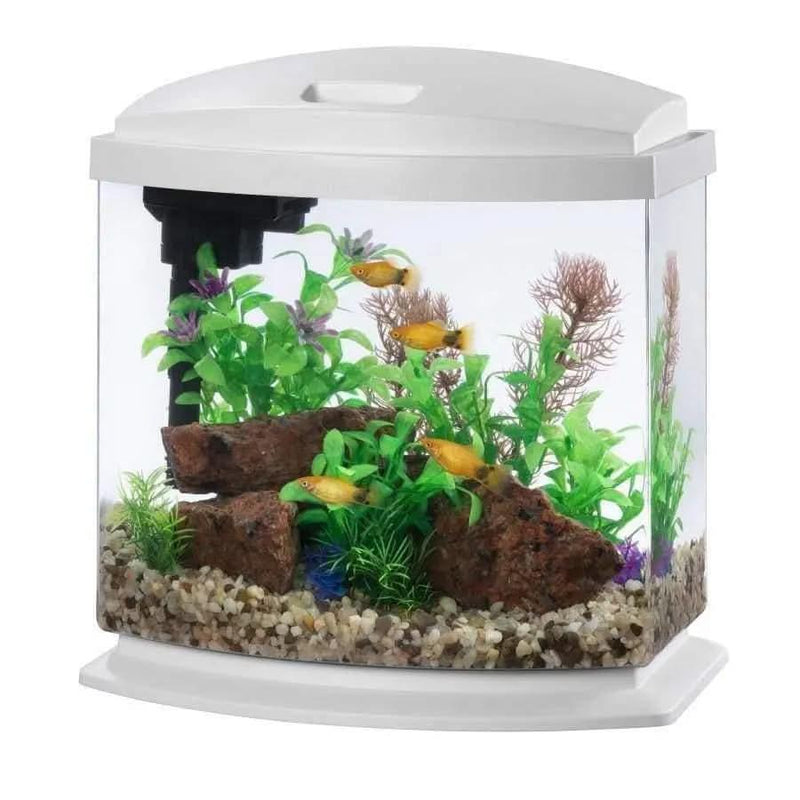 Buy Aquariums | Aquarium Accessories for Fish – Talis Us